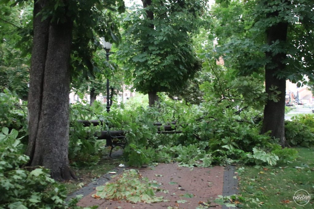Olujno nevrijeme “pokosilo” i Vinkovce, vjetar rušio stabla, raznosio ...