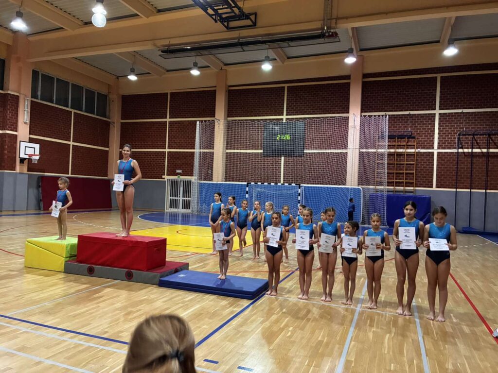 Na Prvenstvu grada Vinkovaca nastupilo 25 naših gimnastičara | novosti.hr